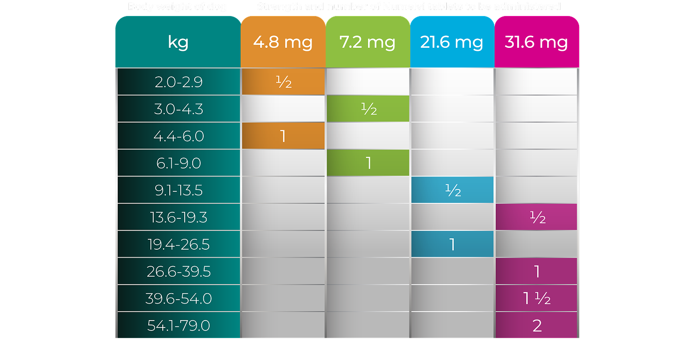 Numelvi Global - numelvi