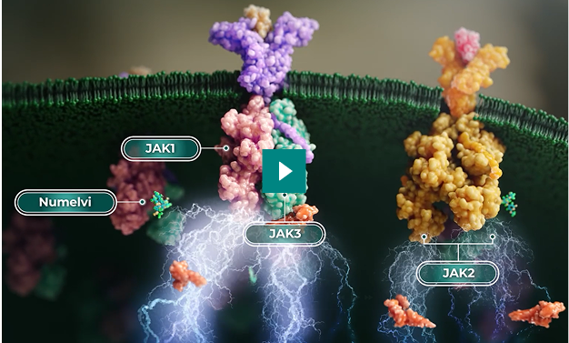 Numelvi Global - numelvi
