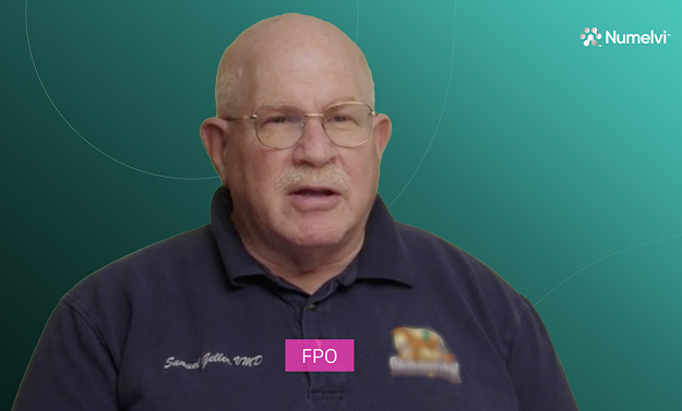 Numelvi Global - latam-numelvi-com