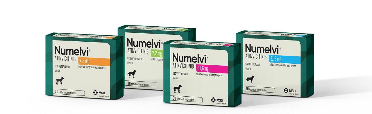 Numelvi - latam-numelvi-com